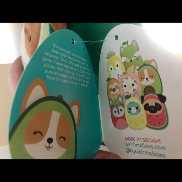 Kellytoy | Toys | Bnwt Regina The Hybrid Avocadodog Squishmallow | Poshmark